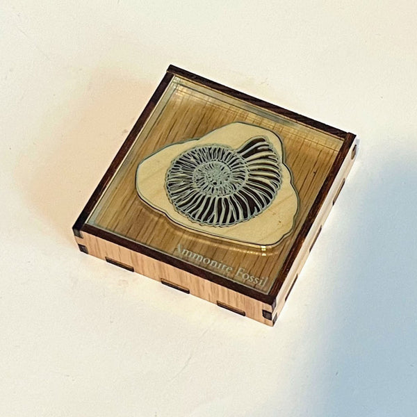 2 5 Paleontologist Desk Display Ammonite Fossil Glowforge Shop