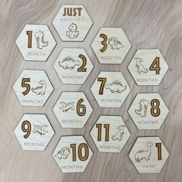 Dinosaur Baby Monthly Milestone Markers (Set of 13) – Glowforge Shop