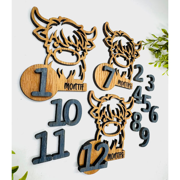 Adorable Highland Cow Monthly Milestones Photo Props (Set of 12 ...
