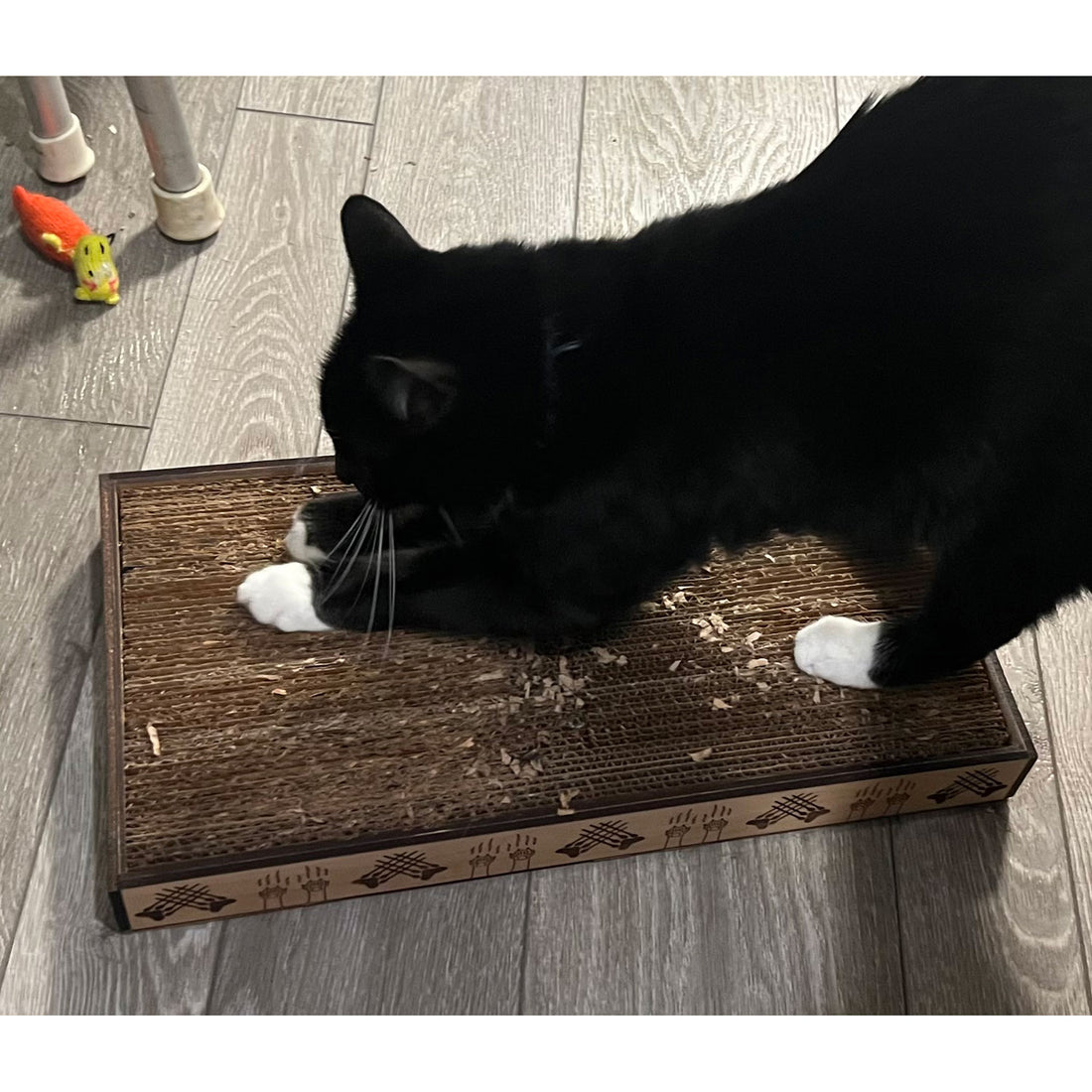 Cat Scratcher - Paw-friendly Cat Scratching Surface – Glowforge Shop