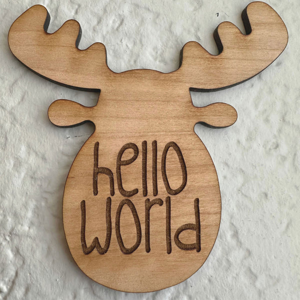 Moose Monthly Milestone Baby Markers (Set of 13) – Glowforge Shop