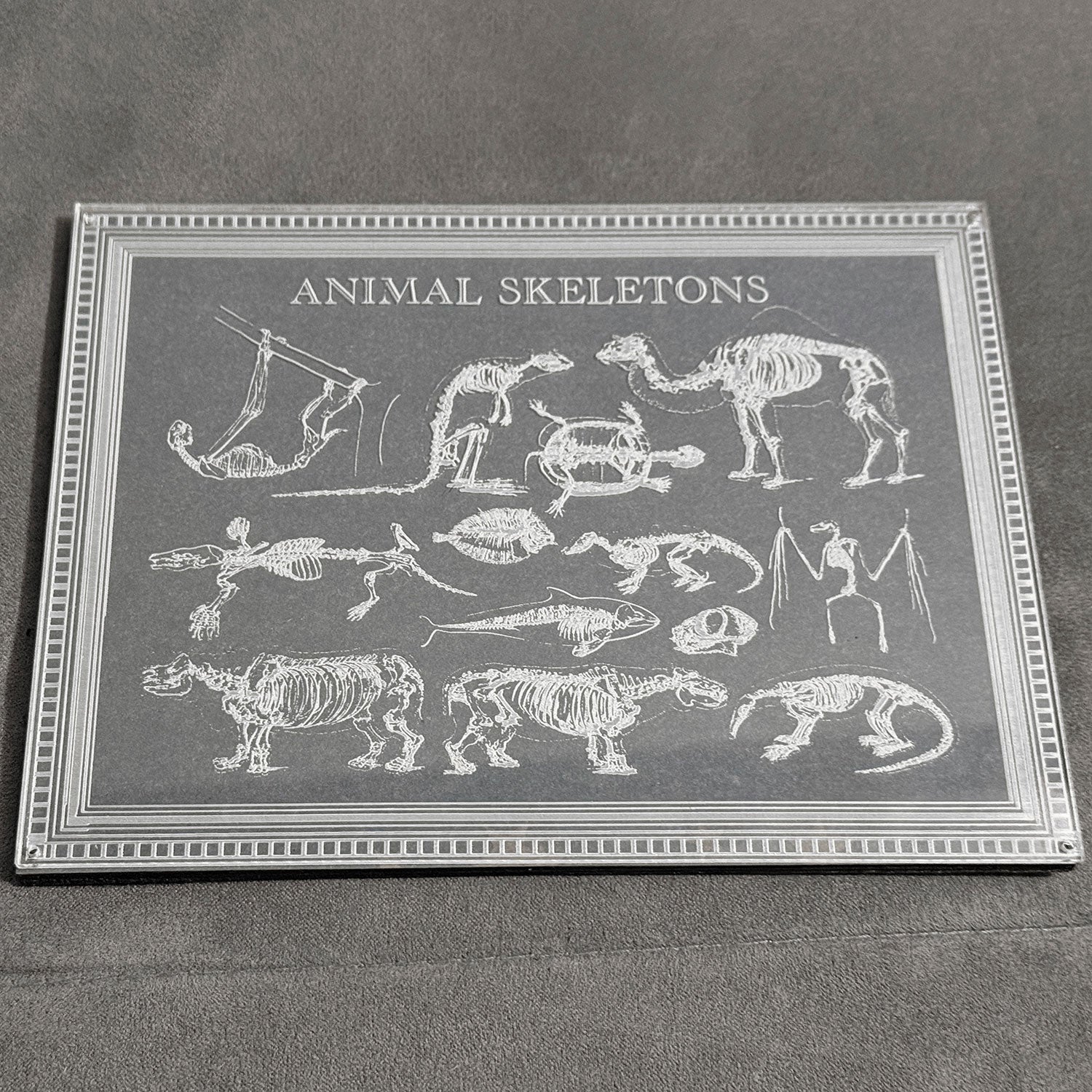 Animal Skeletons Art – Glowforge Shop