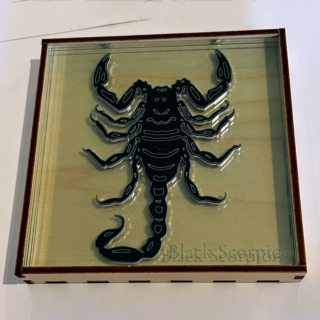 Arachnologist Desk Display - Black Scorpion – Glowforge Shop