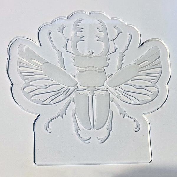 Beetle Insect LED Nightlight Insert – Glowforge Shop