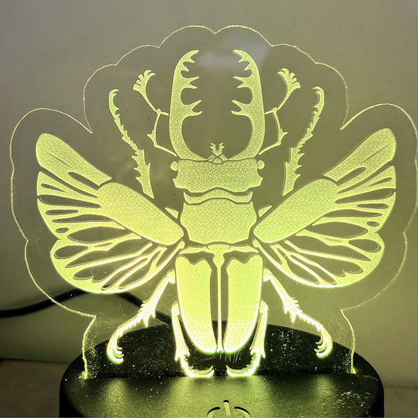 Beetle Insect LED Nightlight Insert – Glowforge Shop
