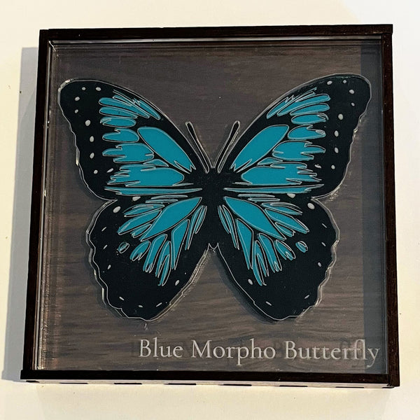 Entomologist Desk Display - Blue Morpho Butterfly – Glowforge Shop