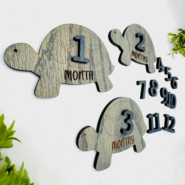 Monthly Turtle Milestones Baby Photo Props (Set of 12) – Glowforge Shop