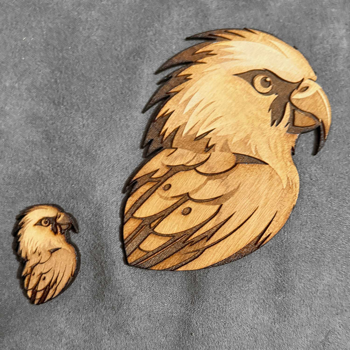 Parrot Profile Art & Guitar Pick – Glowforge Shop