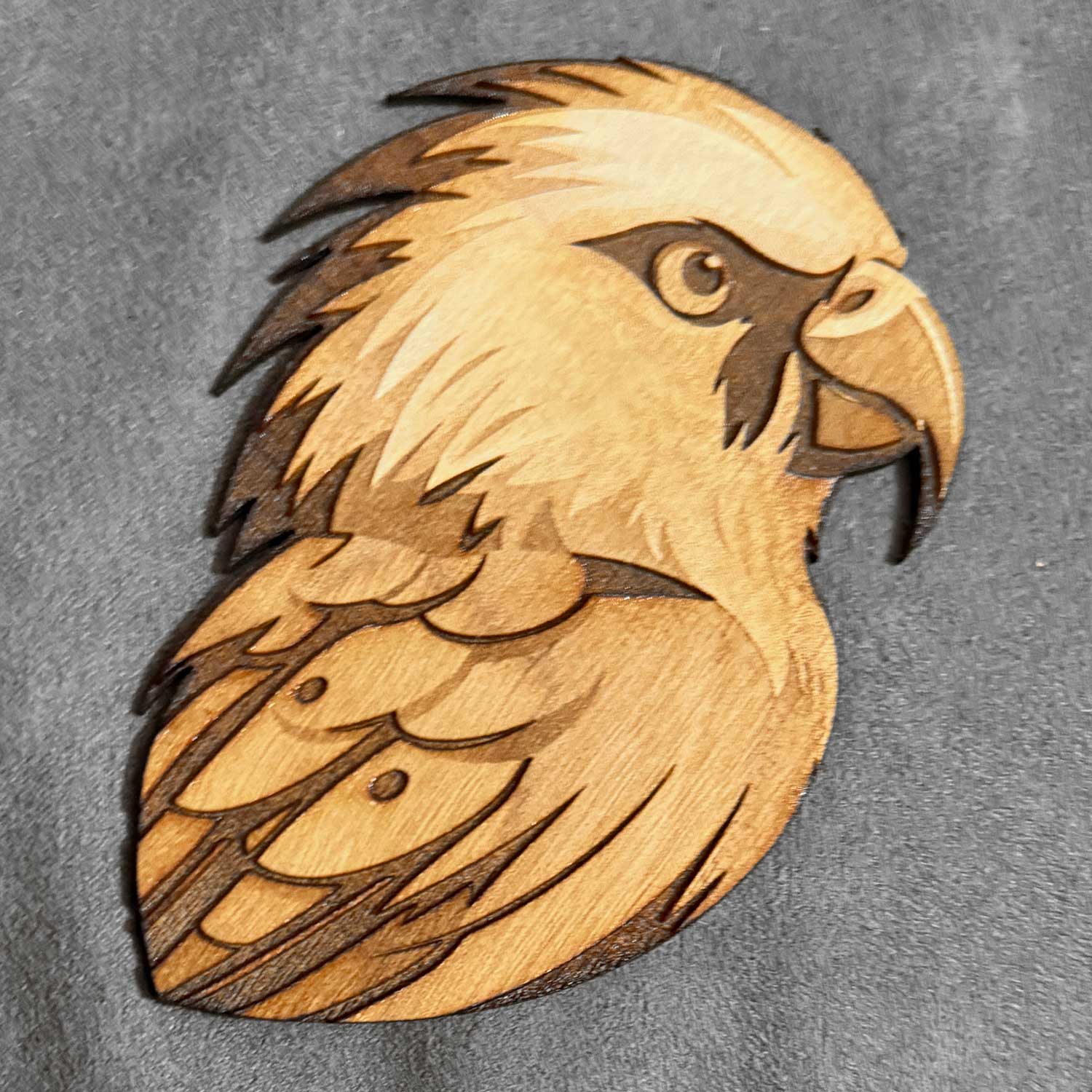 Parrot Profile Art & Guitar Pick – Glowforge Shop