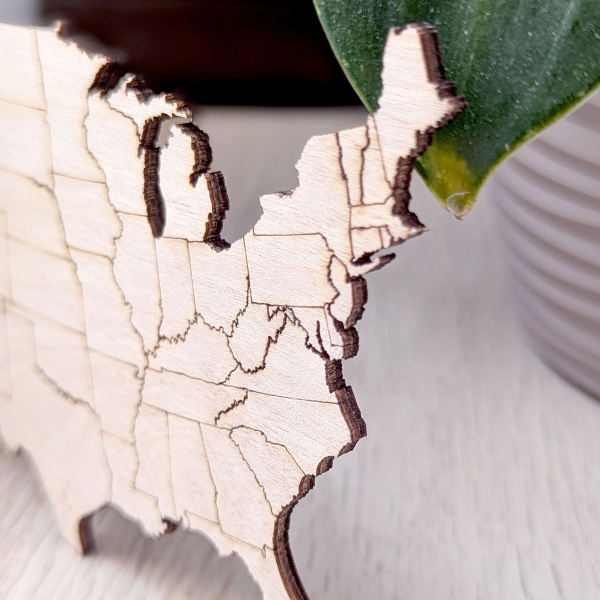 USA Map - Detailed Decorative Cutout for Wall Art, Crafts, or Educatio ...